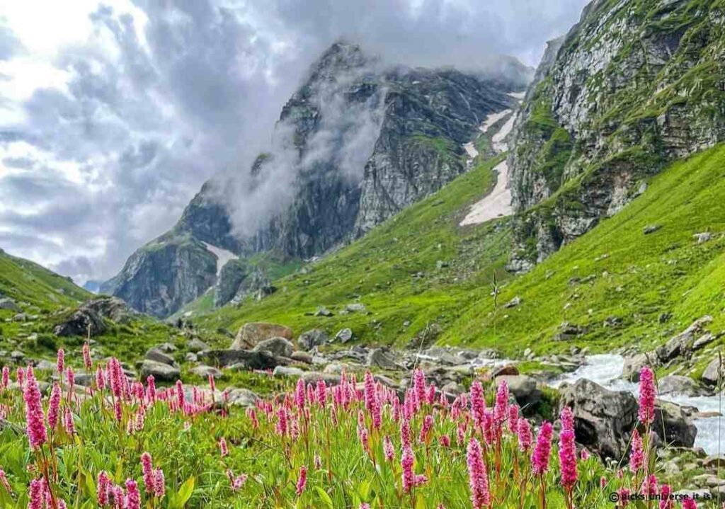 Hampta Pass Circuit Trek | Book now and get 30% Off!